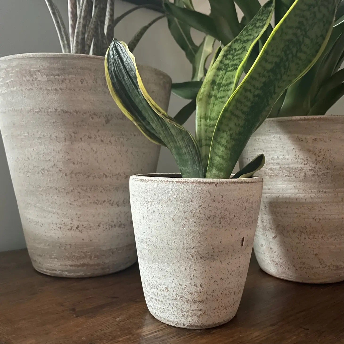 Ceramics – Women of the Cloud Forest